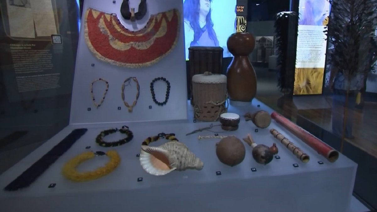 Field Museum Previews Exhibit Exploring Native Hawaiian Migration to ...