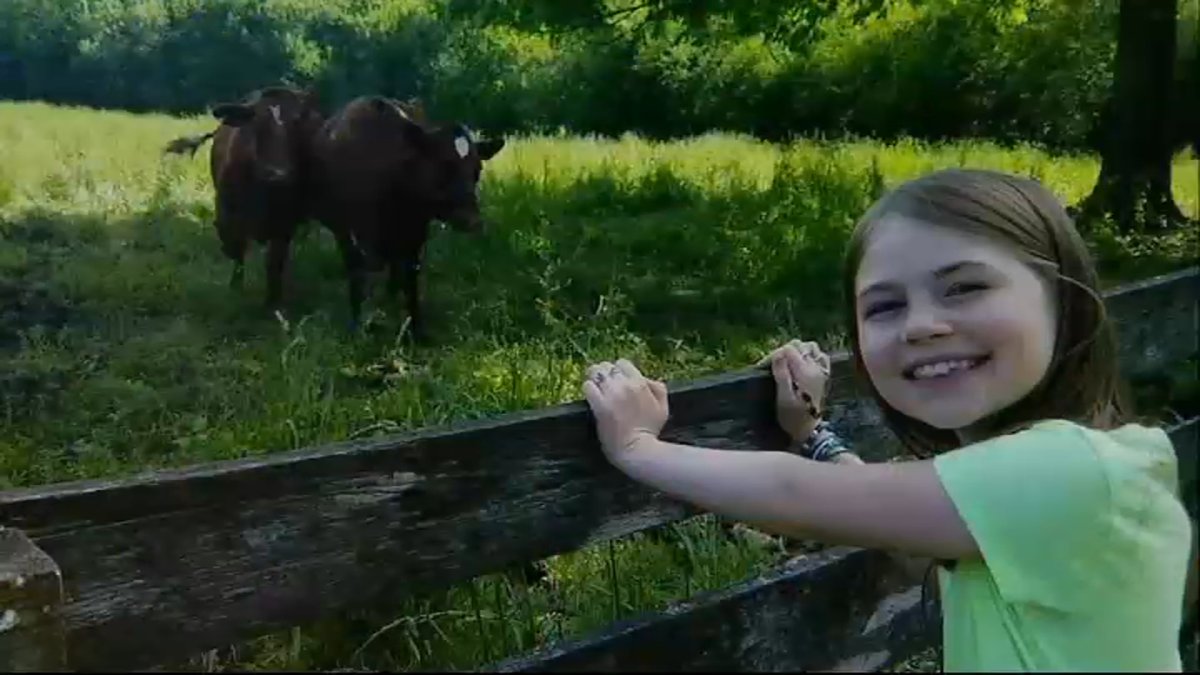 Father Releases Statement After Missing South Elgin Girl Featured in ...