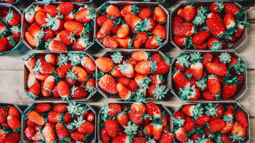 Strawberry Festival Illinois: 2 suburban strawberry festivals coming up ...