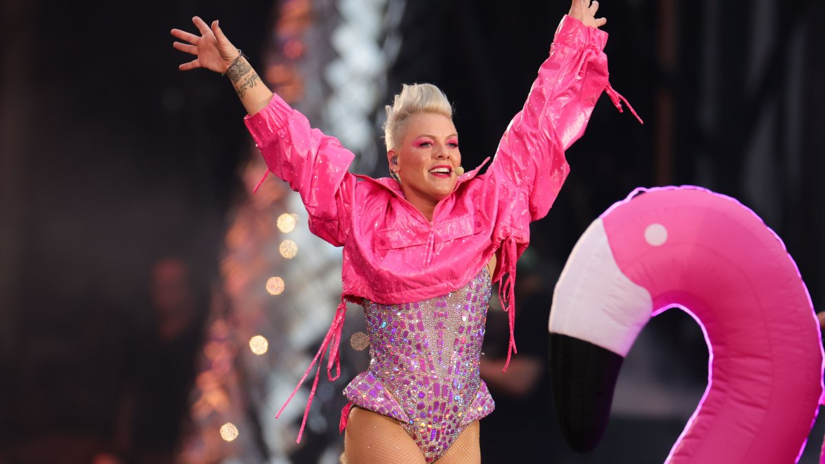 Pink’s reaction to a fan giving her a large wheel of cheese is the ...