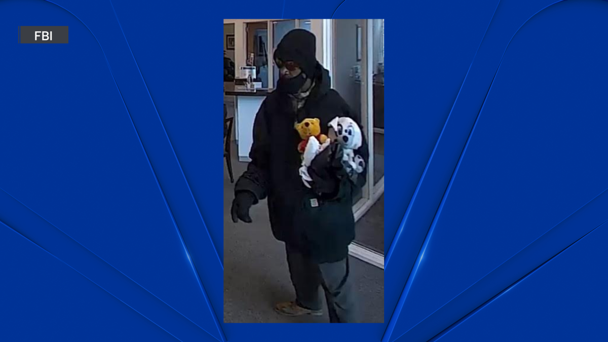 Reward Offered in Search for ‘Stuffed Bear Bandit’ That Robbed Chicago ...
