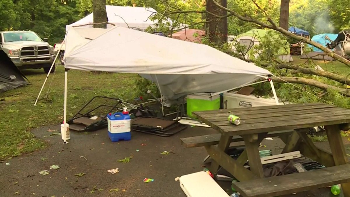 Terrifying Camping Mishap in Indiana Sends Three to Hospital as Tree ...