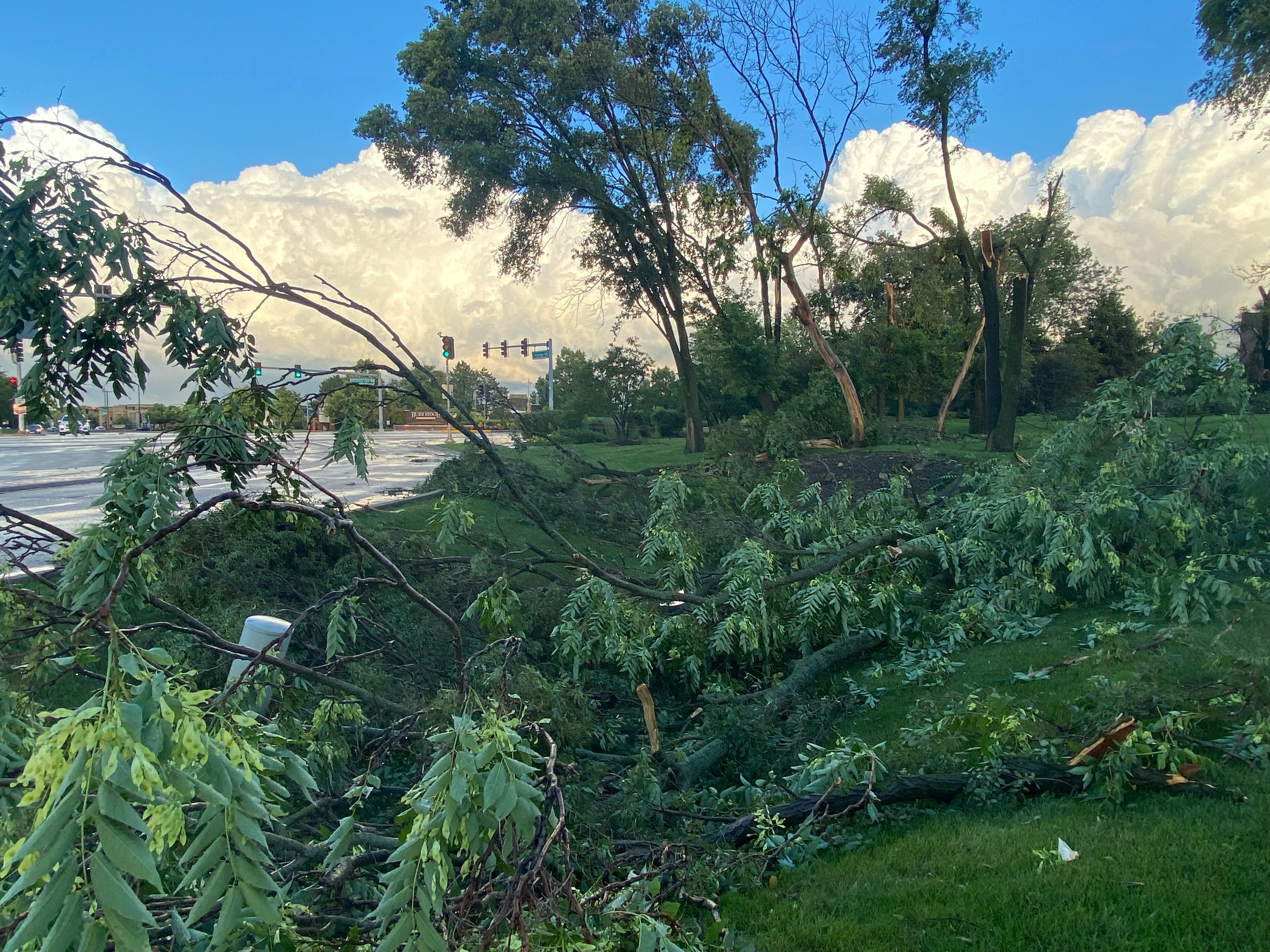 From Hodgkins to Elgin, severe weather, tornadoes cause extensive ...