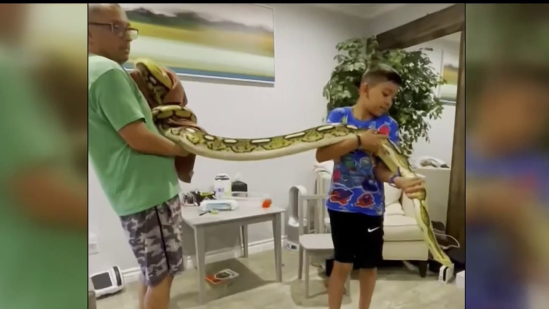 Calif. family's 15-foot pet python escapes, neighbors warned ‘she likes ...