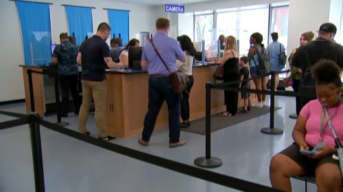 Undocumented immigrants can apply for Illinois’ drivers licenses ...