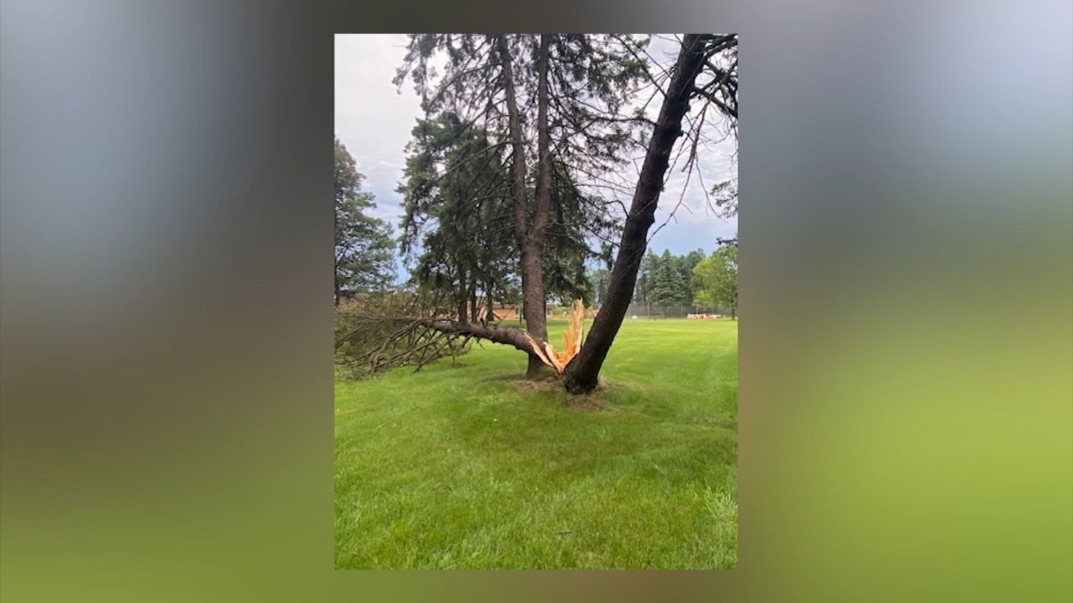 Severe weather Chicago: More afternoon severe thunderstorms possible ...