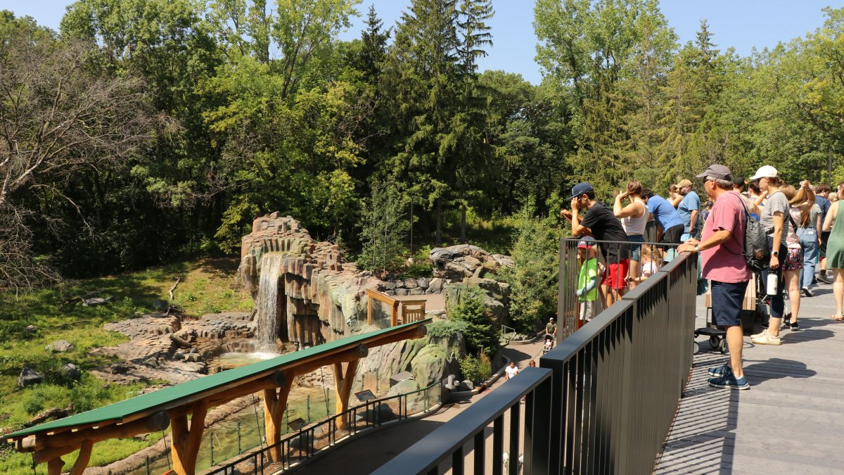 Minnesota Zoo debuts the World’s longest elevated pedestrian loop – NBC ...