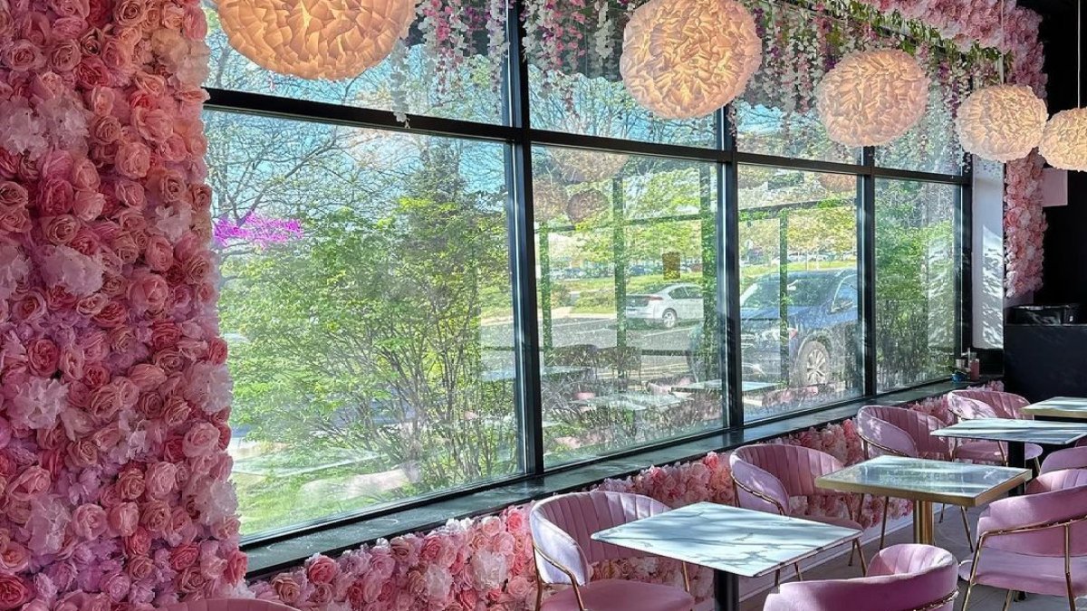 Warrenville’s sweet vibes: Sweet Vibes Dessert Lounge captivates ...