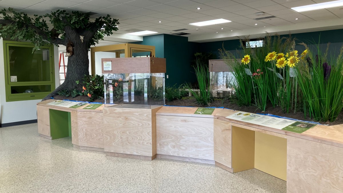 Barrington’s Crabtree Nature Center reopens after $2 million renovation ...