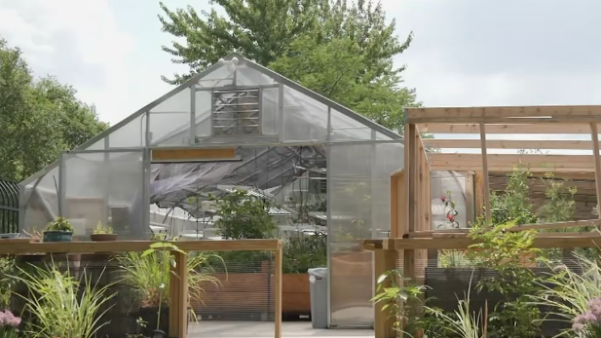 From garden to plate: Exploring Chicago’s unique restaurant greenhouse ...