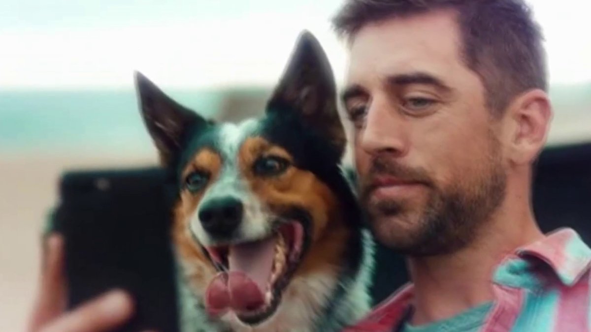 Animal trainers are feeling the impact of Hollywood strikes – NBC Chicago