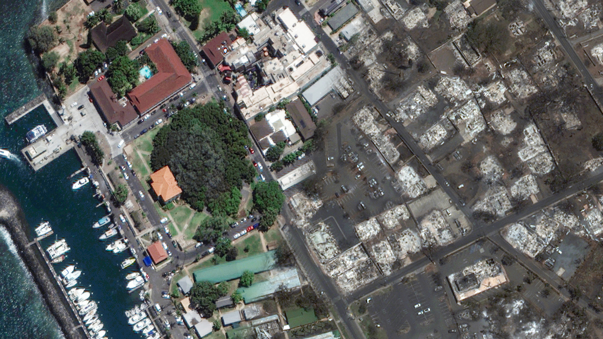 Before And After Satellite Photos Show Devastating Aftermath Of Mauis