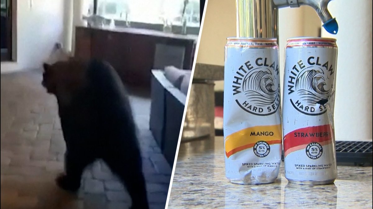 3-legged bear breaks into patio, drinks 2 White Claws – NBC Chicago