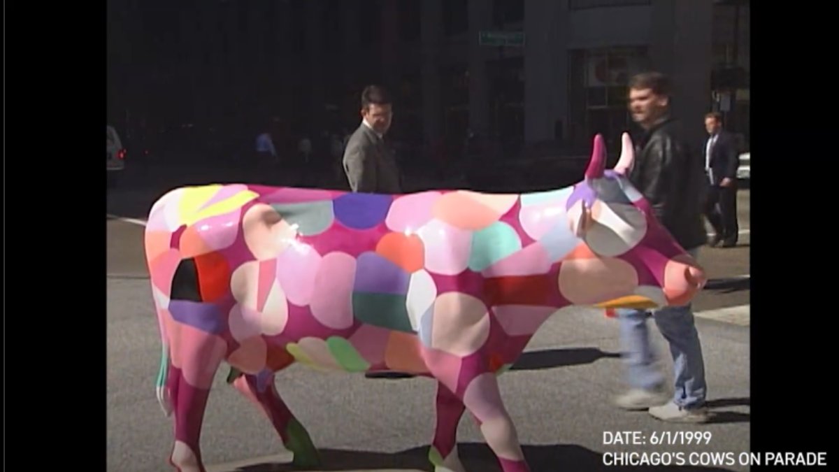 1999: Hundreds of ‘Cows on Parade’ in city-wide exhibit – NBC Chicago