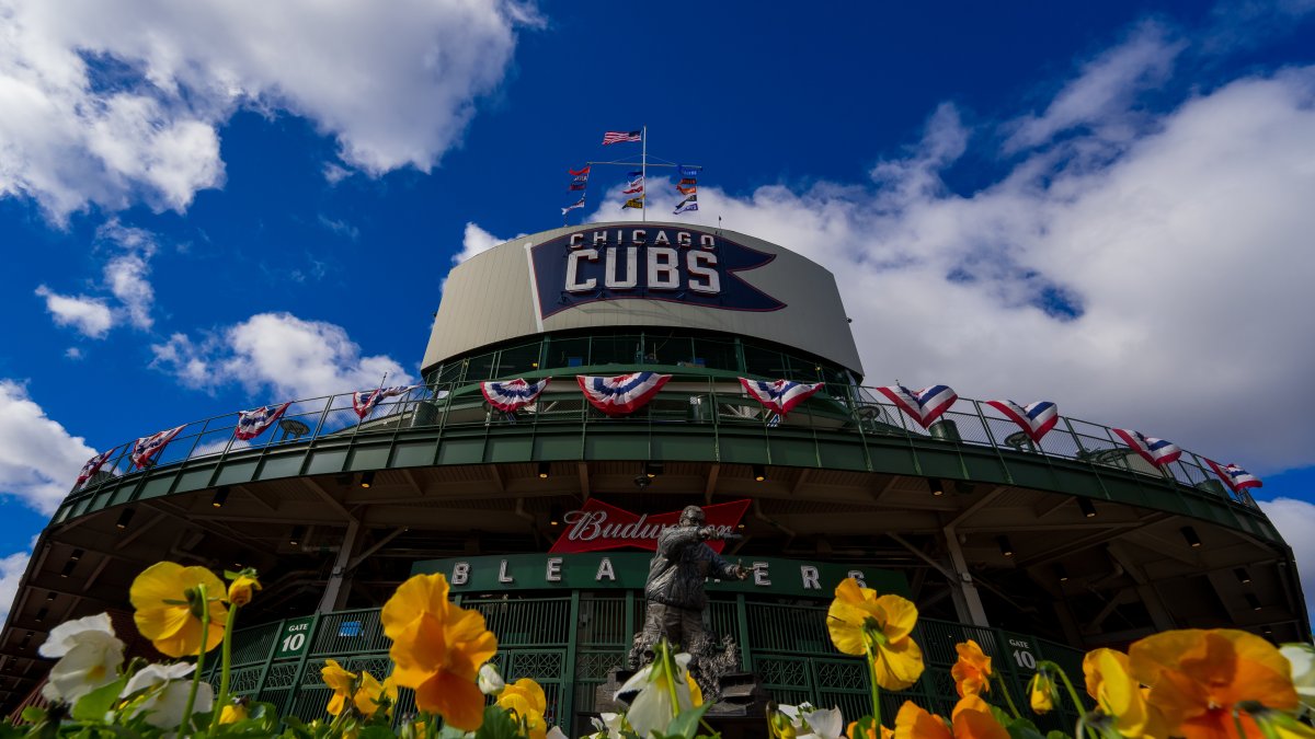 Cubs game wedding: Couple gets married in Wrigley Field bleachers – NBC ...