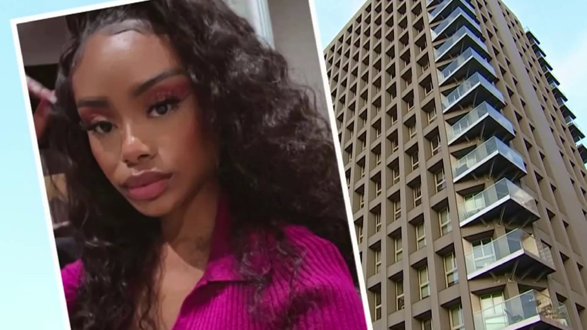 Minnesota man arrested in brutal death of LA model – NBC Chicago