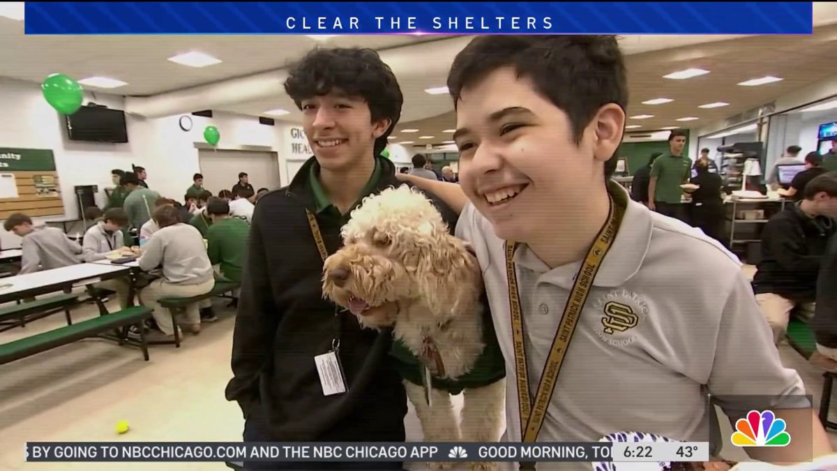 Clear the Shelters: High School throws a birthday bash for beloved ...