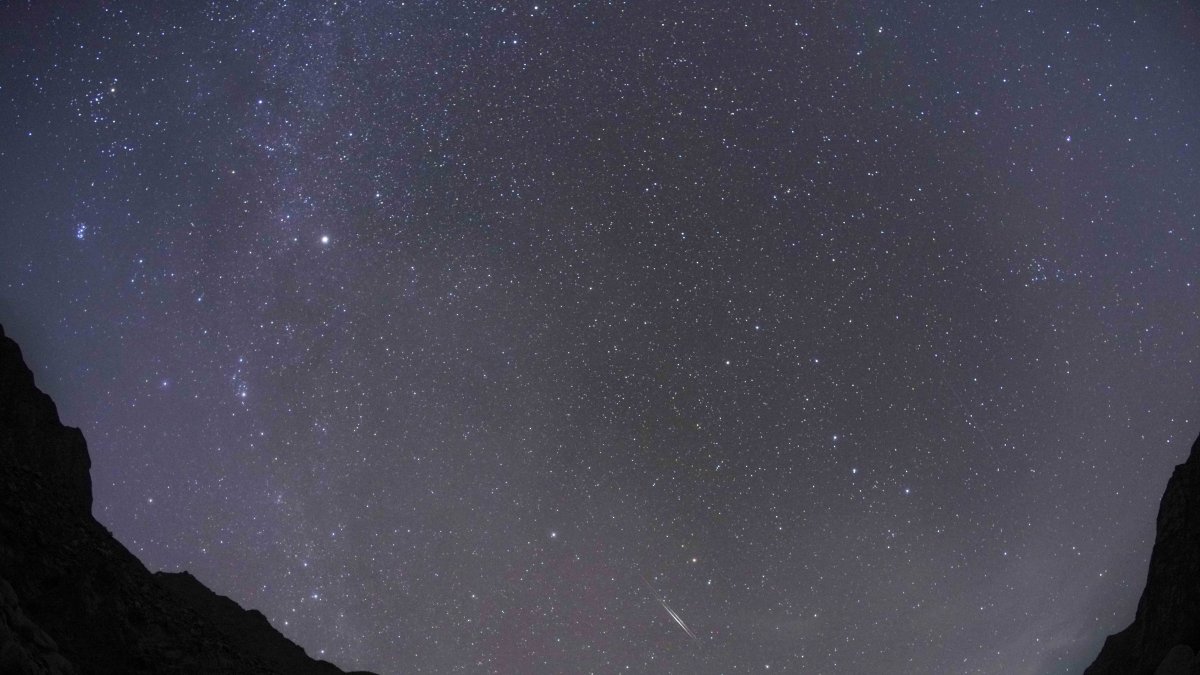 Perseids and more: 3 meteor showers to catch this summer – NBC Chicago