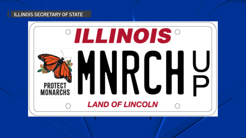 Illinois rolls out monarch butterfly specialty license plate. Here’s ...