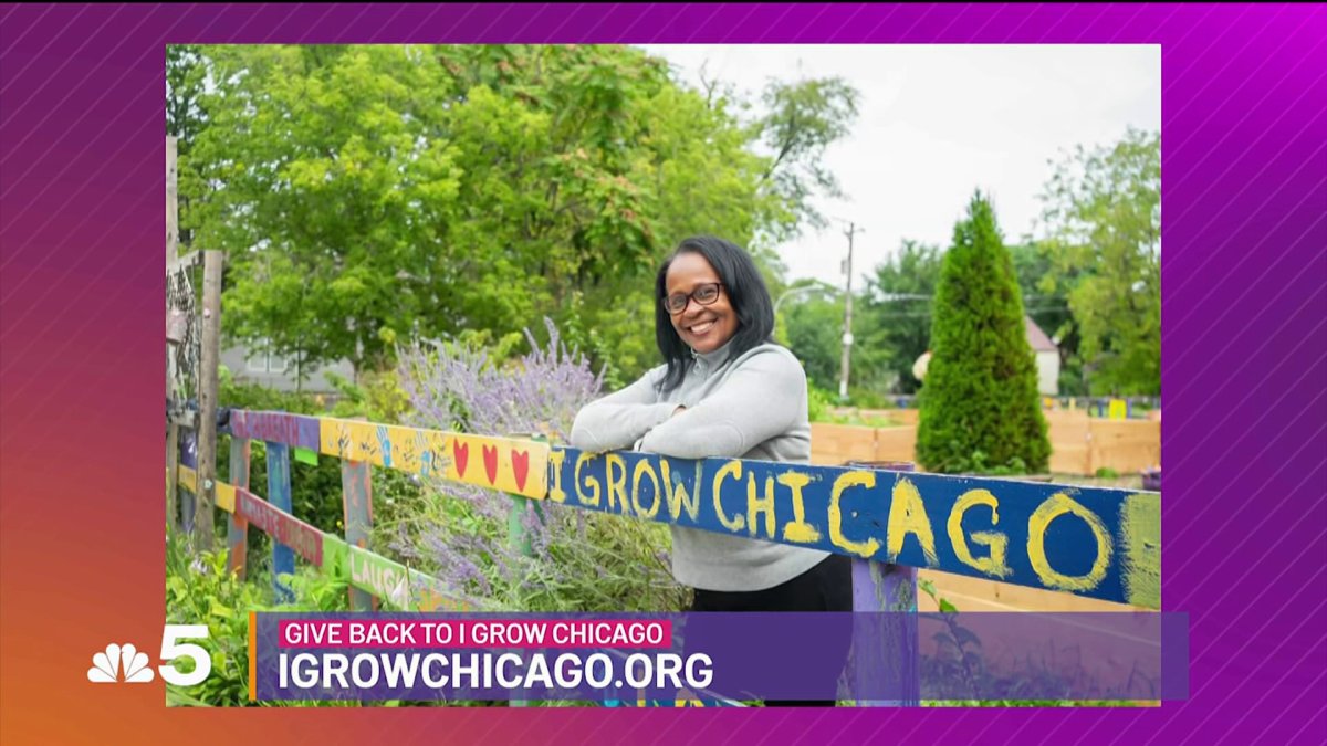 Transforming lives in Englewood: I Grow Chicago’s mission to cultivate ...