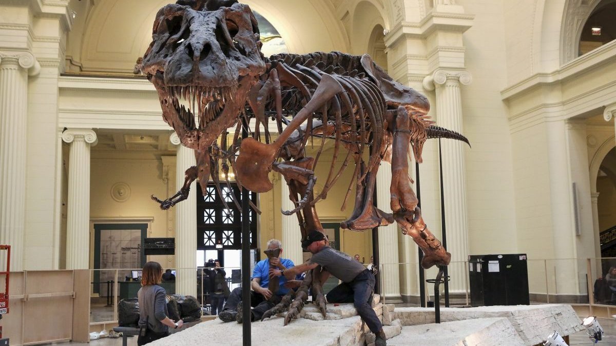 Here’s when you can visit museums for free during CPS spring break ...