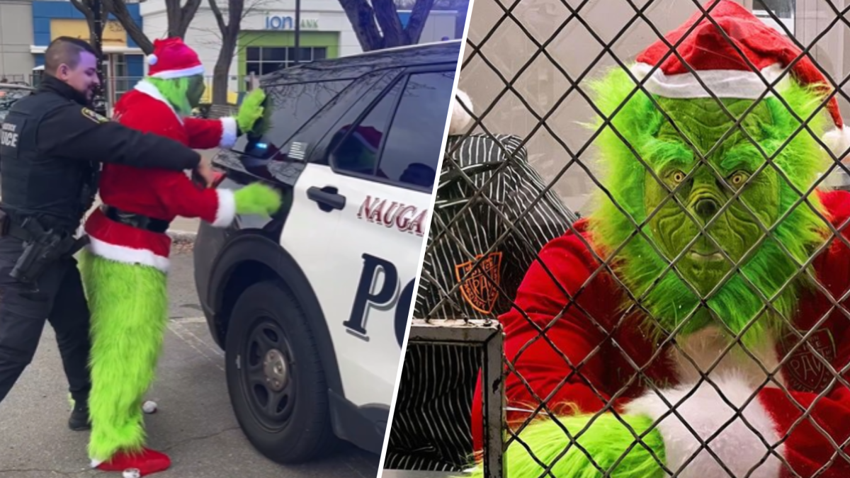 Police across Connecticut apprehend the Grinch – NBC Chicago