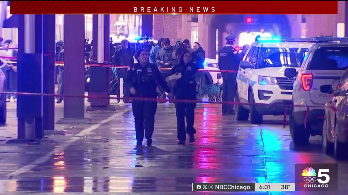 Mayor Johnson releases statement after 2 teens killed in Loop shooting ...