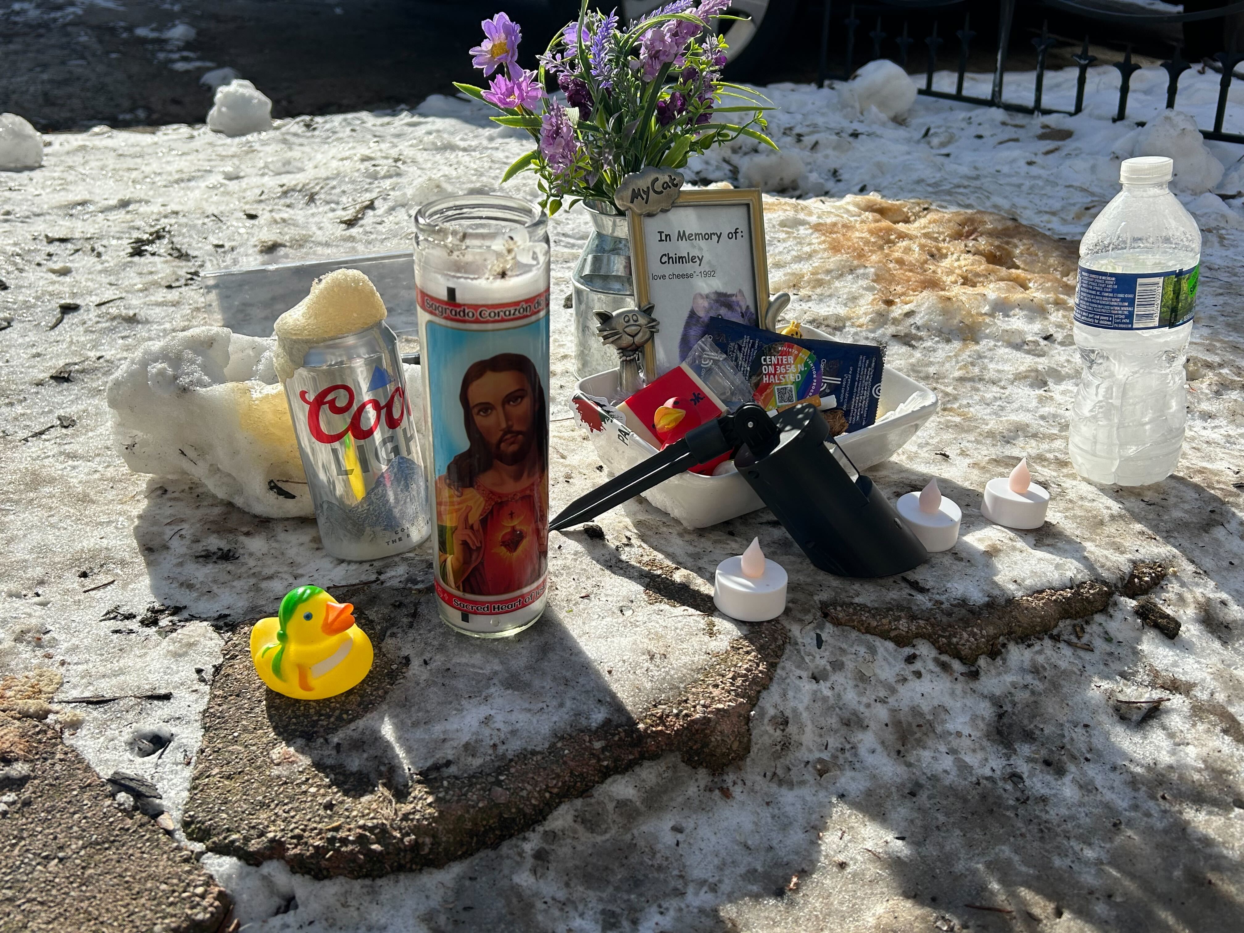 Local State Rep. responds after ‘rat hole’ on Chicago’s North Side ...