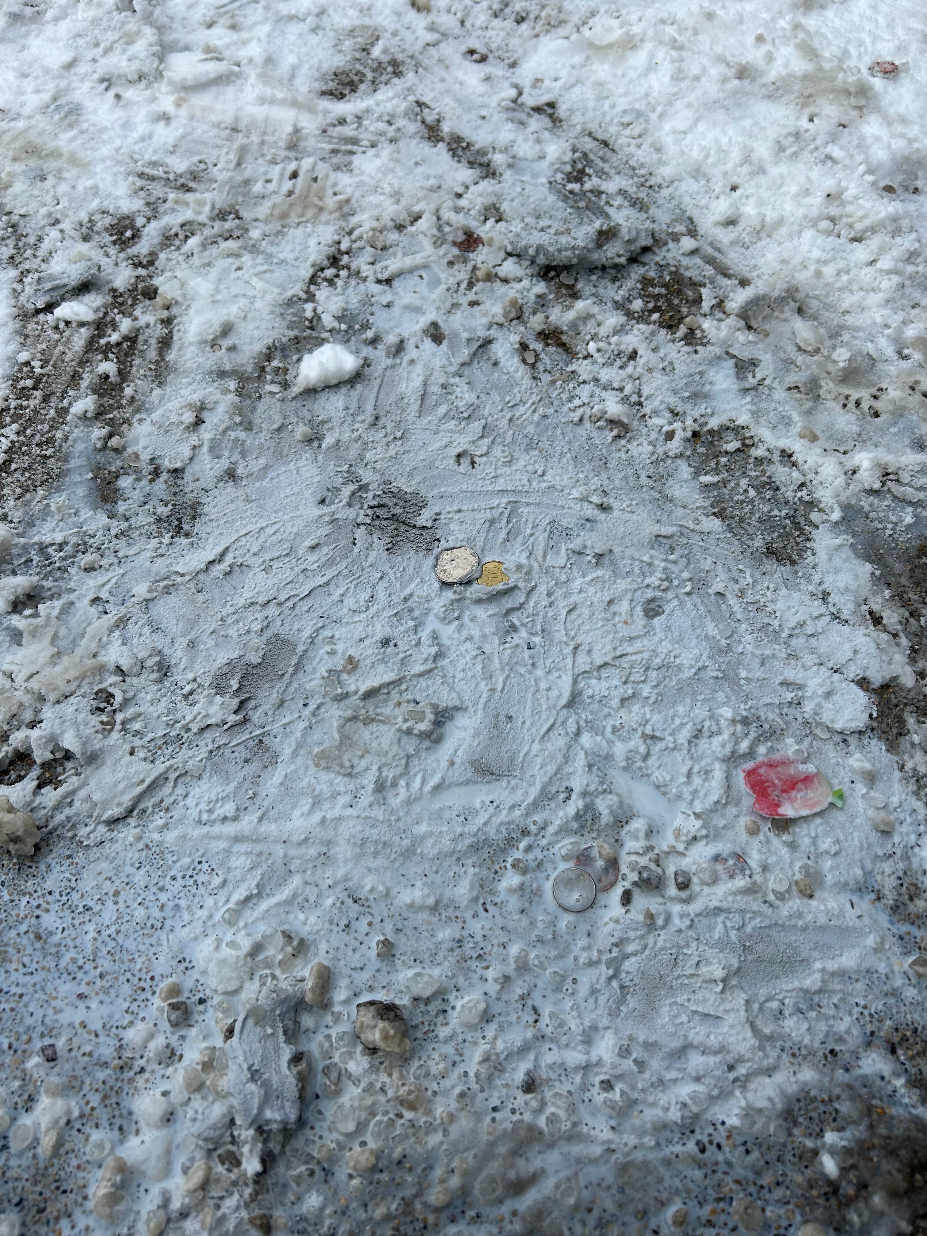 Chicago ‘Poop Fountain,’ Chicago ‘Rat Hole,’ Chicago ‘Weed Bench ...