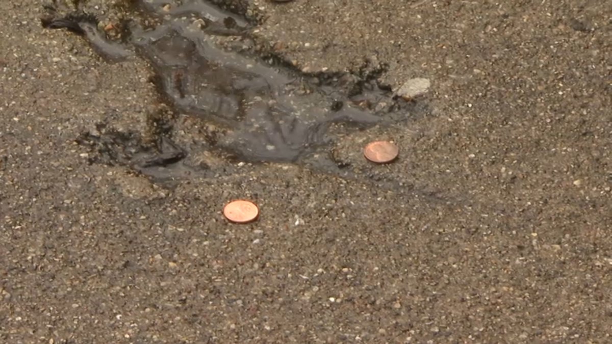 What is ‘Chicago Rat Hole,’ the city’s hottest new tourist attraction ...