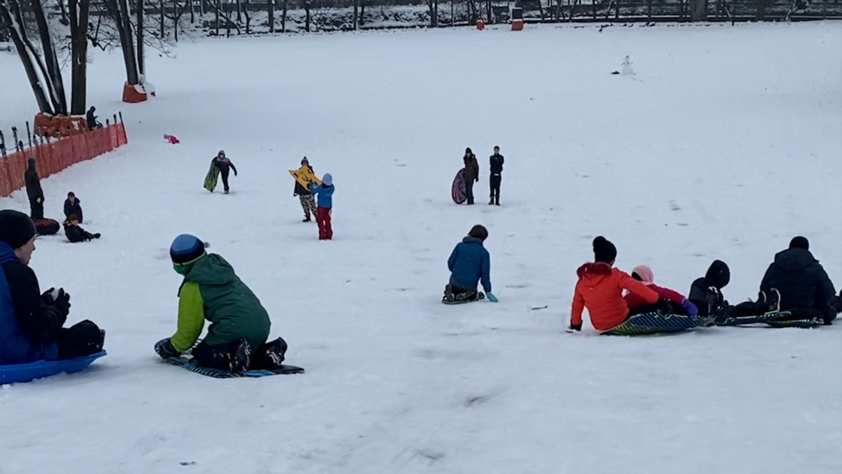 Watch: Families enjoy sledding amidst winter storm in Naperville on ...