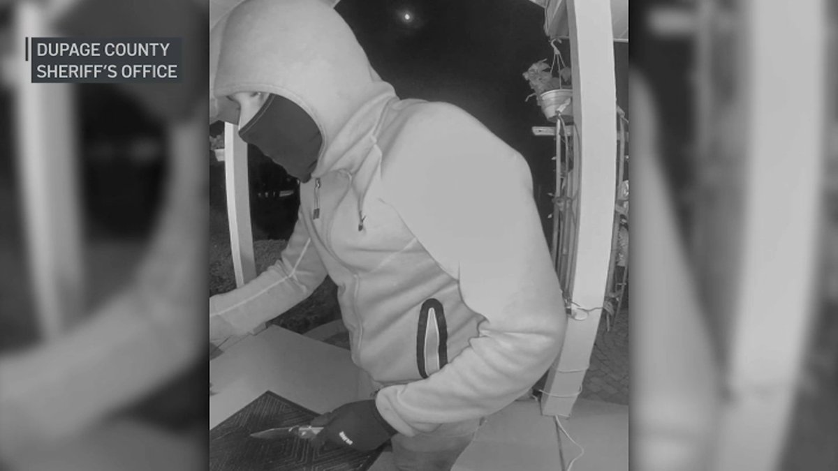 DuPage County home invasion suspect who punched homeowner captured on ...