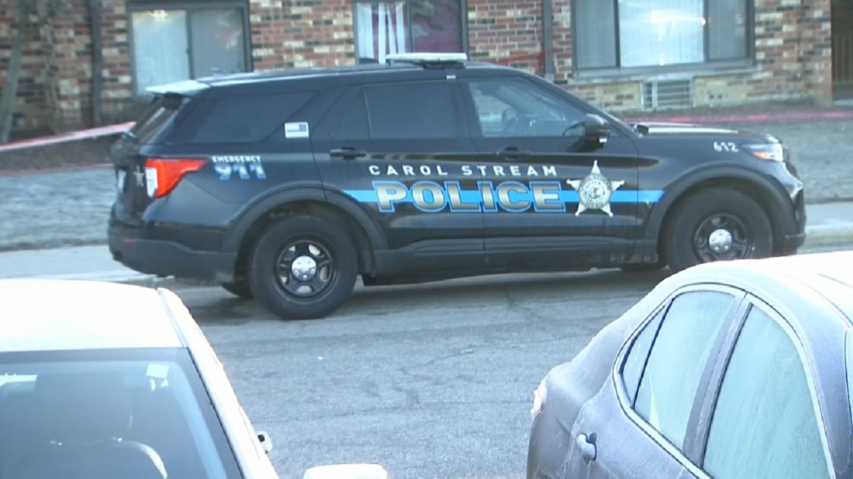 Man shot, killed by Carol Stream police responding to ‘domestic ...