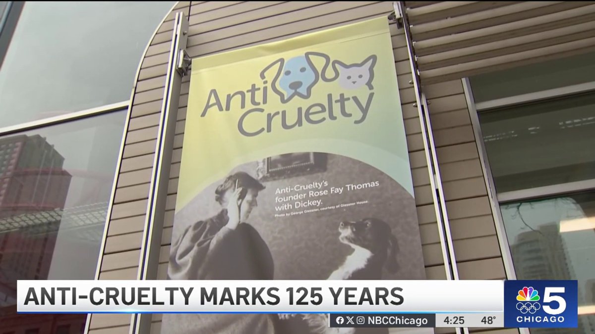 Anti-Cruelty Society celebrates 125 years of operation – NBC Chicago