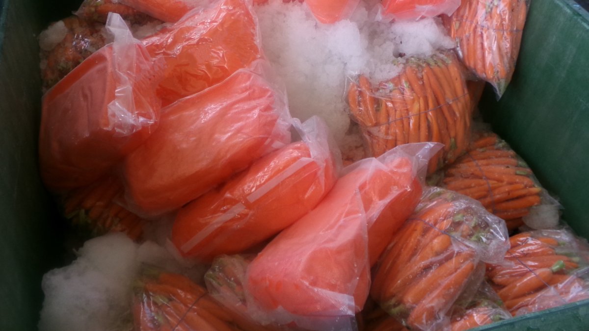 Orange is the new green: Million$ in meth smuggled in carrots shipment ...