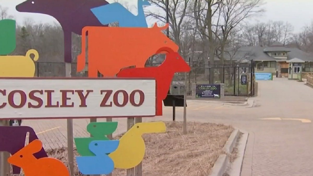 Expanded parking lot at Wheaton’s Cosley Zoo opposed by nearby ...