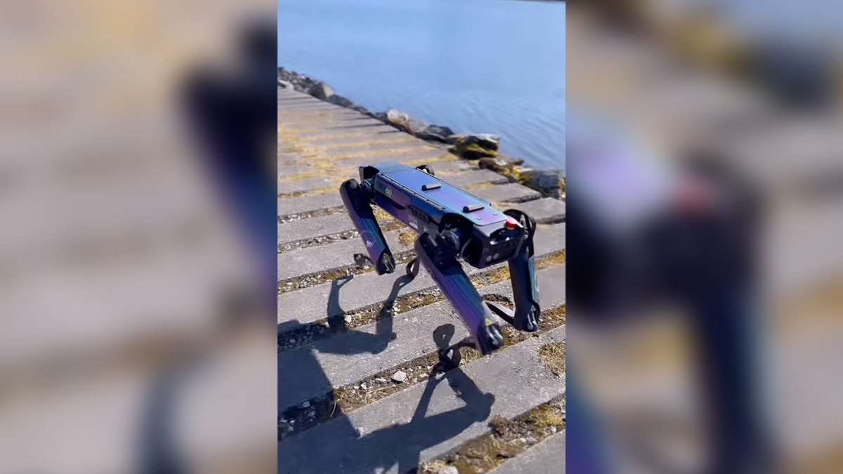 Alaska airport to use robot disguised as a coyote or fox to ward off ...