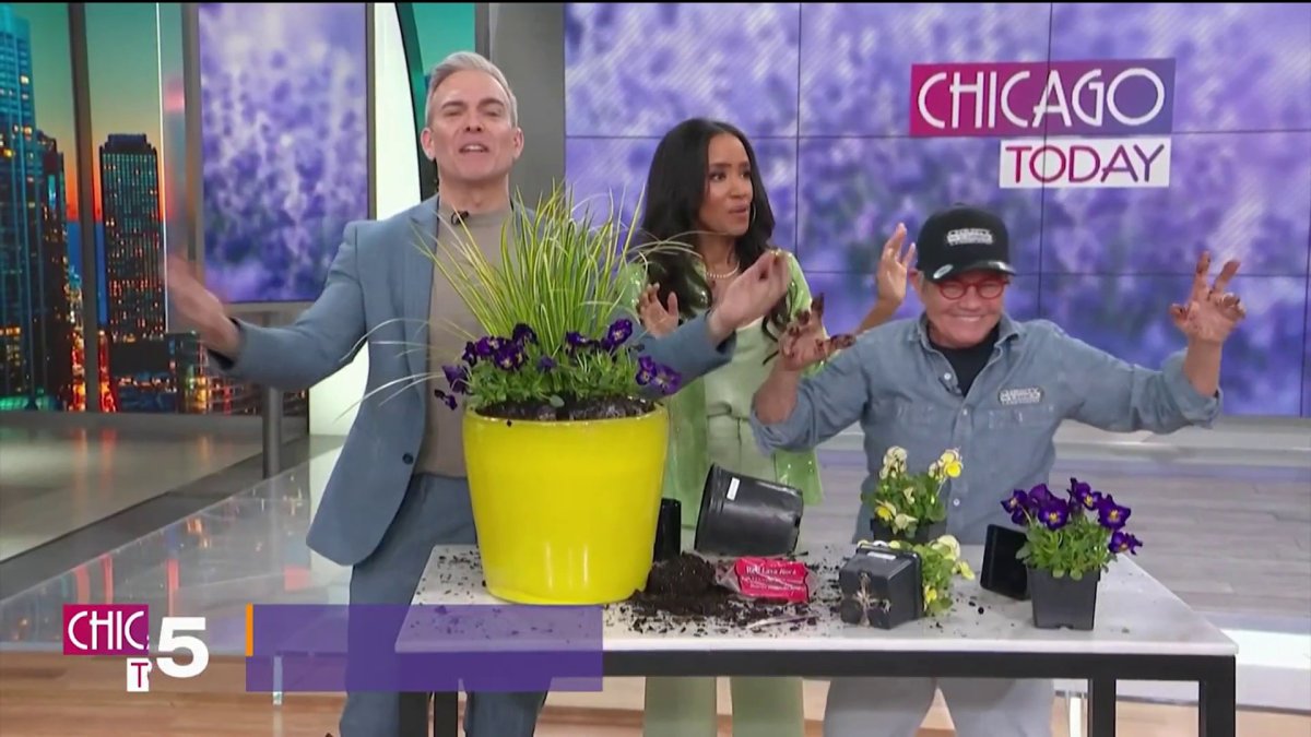 Landscape expert Christy Webber shares tips for sustainable urban ...