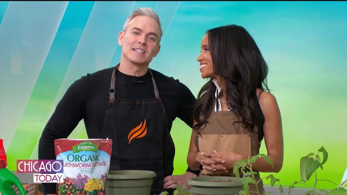 Chicago tomato specialist shows how to plant your own tomatoes – NBC ...