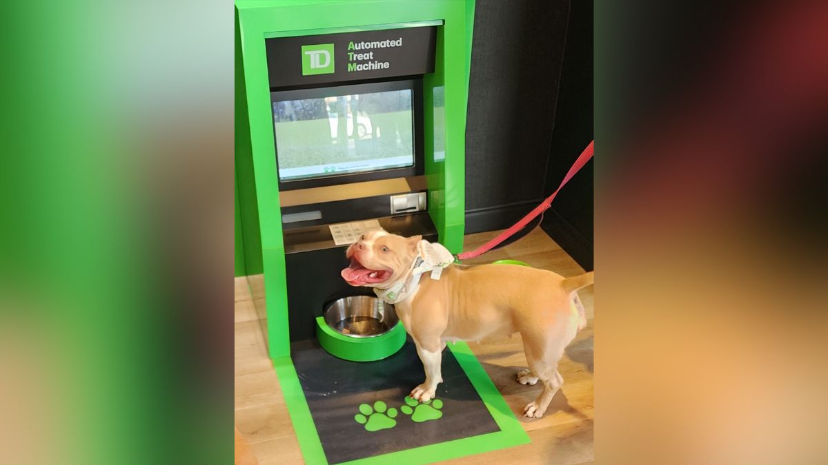 TD Bank debuts first-of-its-kind dog ATM in South Philadelphia – NBC ...