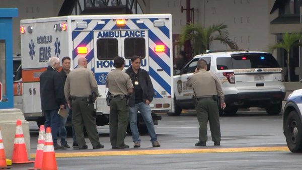 Honolulu shuttle bus accident at cruise terminal kills Illinois woman ...