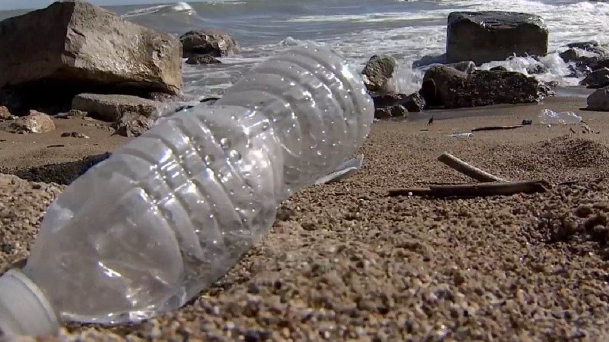 MSI ‘Blue Paradox’ exhibit shines light on plastic pollution crisis ...