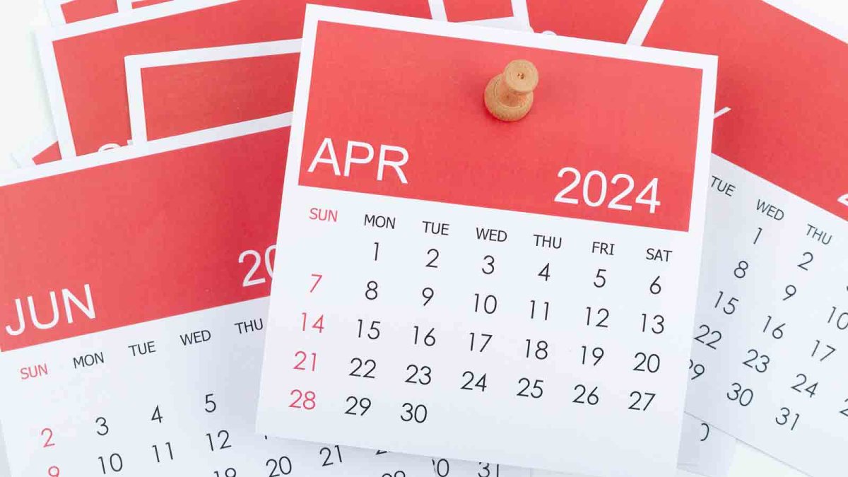 How many palindrome dates are there in 2024? – NBC Chicago