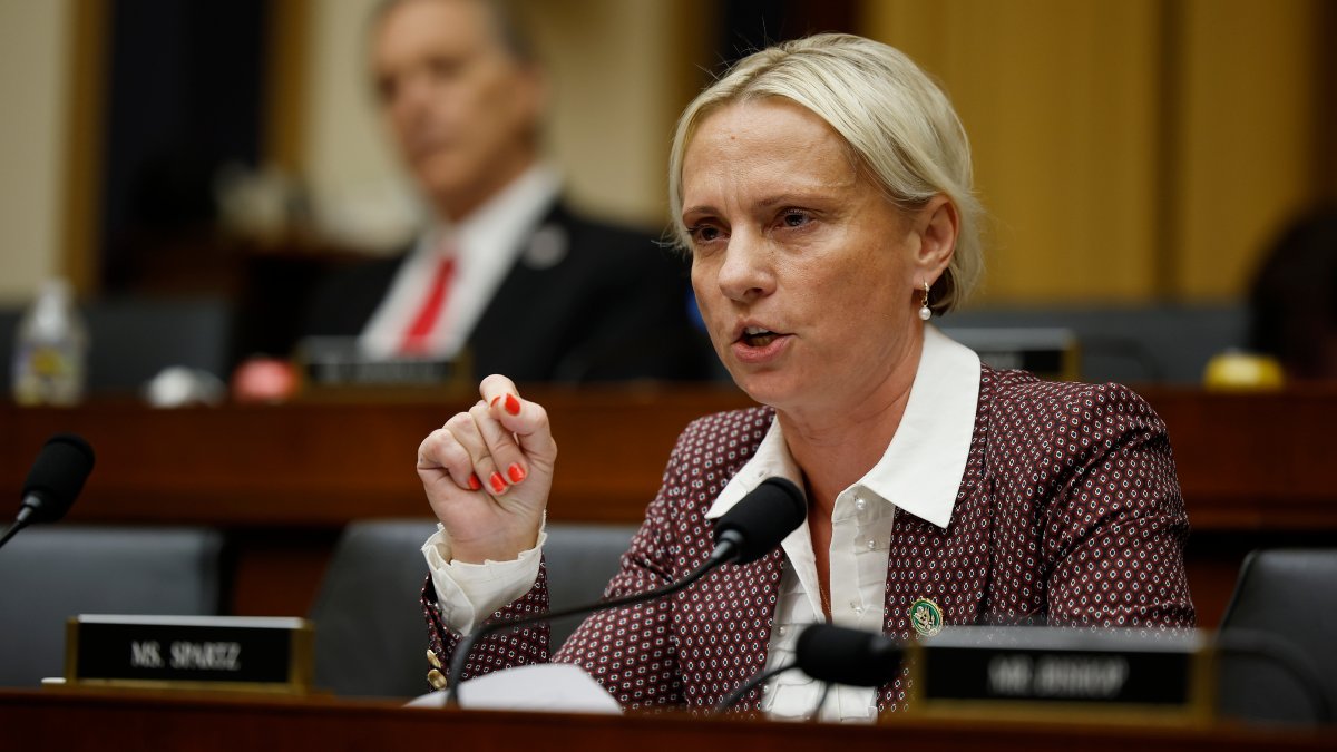 Spartz wins contentious Indiana Republican primary – NBC Chicago