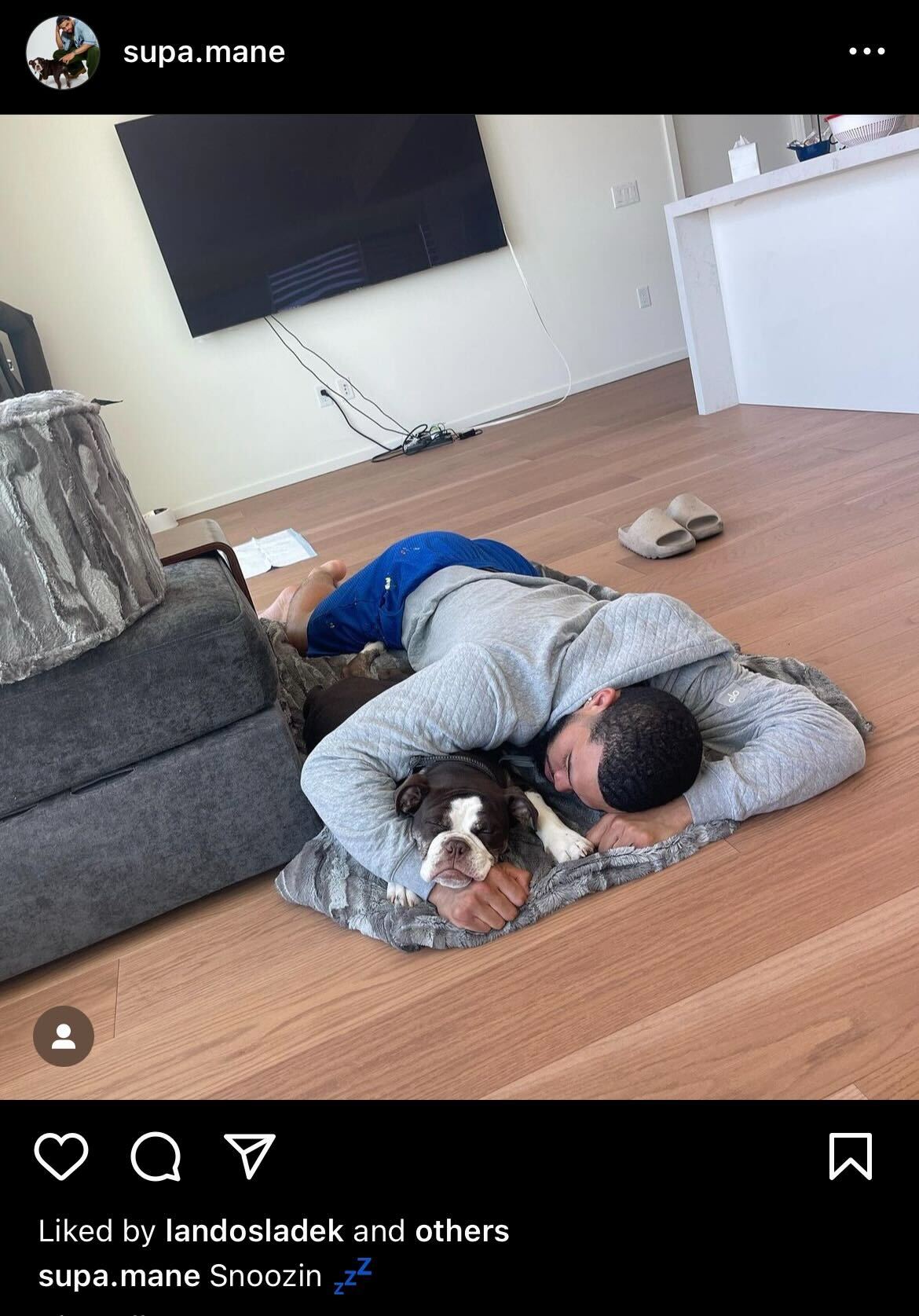 Meet Bears’ Caleb Williams’ Olde English Bulldog, Supa – NBC Chicago