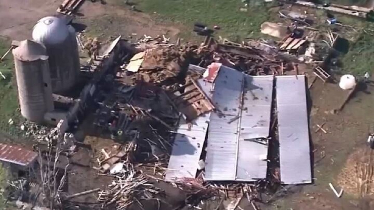 Multiple animals killed after barn collapse in Harvard – NBC Chicago