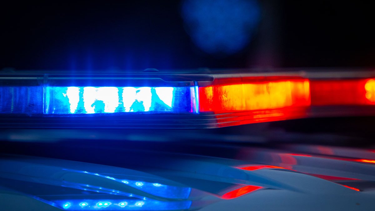 Driver dies after crashing into trees in LaSalle County while fleeing ...
