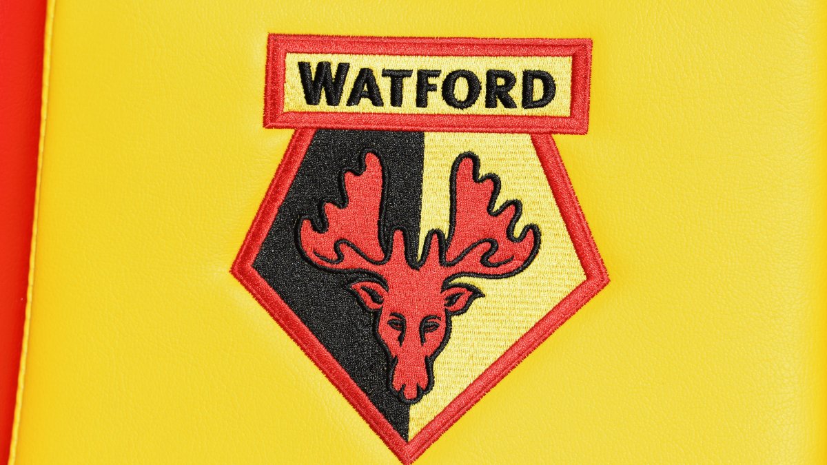 Watford to let fans buy ownership stakes to fund EPL return – NBC Chicago