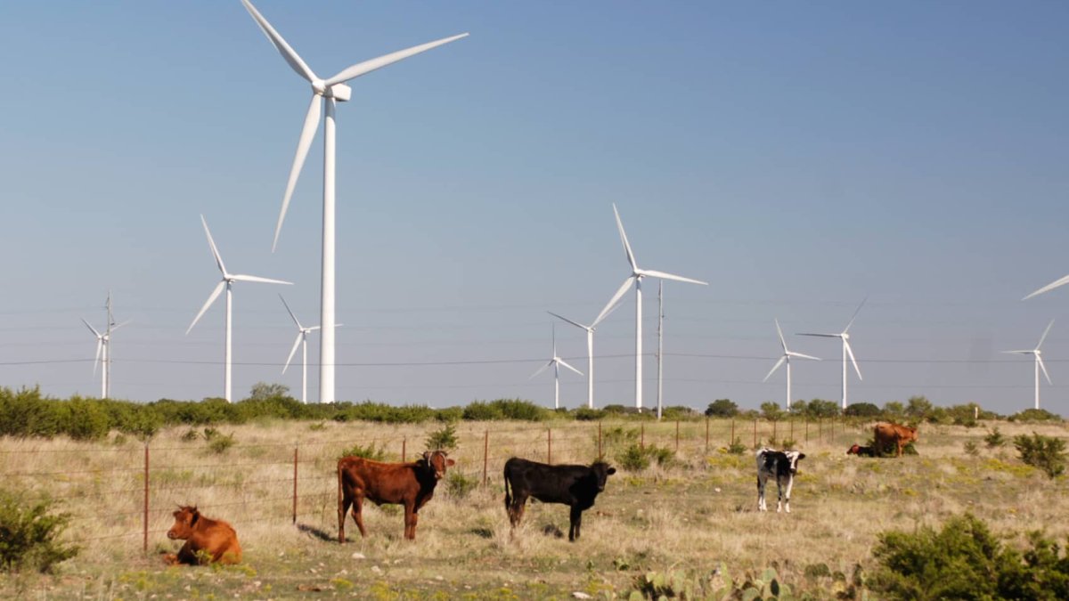 Bye-bye bitcoin, hello AI: Texas miners leave crypto for next new wave ...