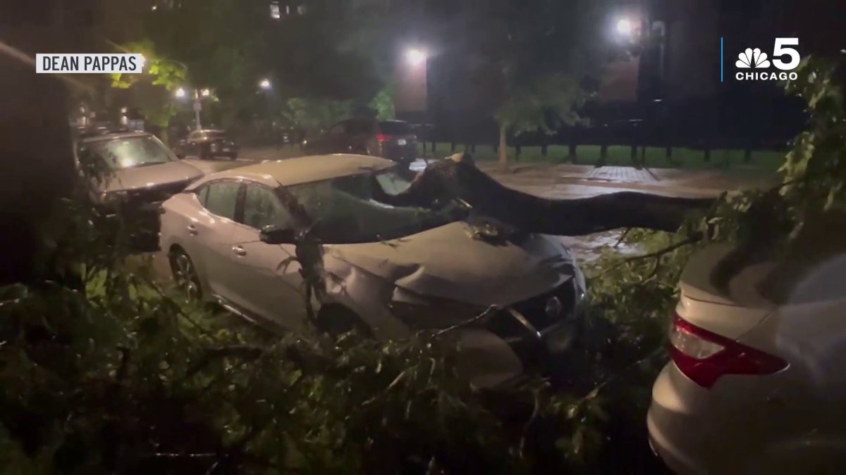 Video shows car hit by tree after severe weather in Chicago – NBC Chicago